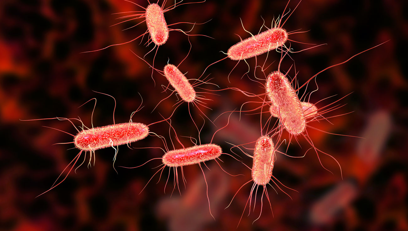 Identificar bacterias resistentes con IA - VínculoTIC